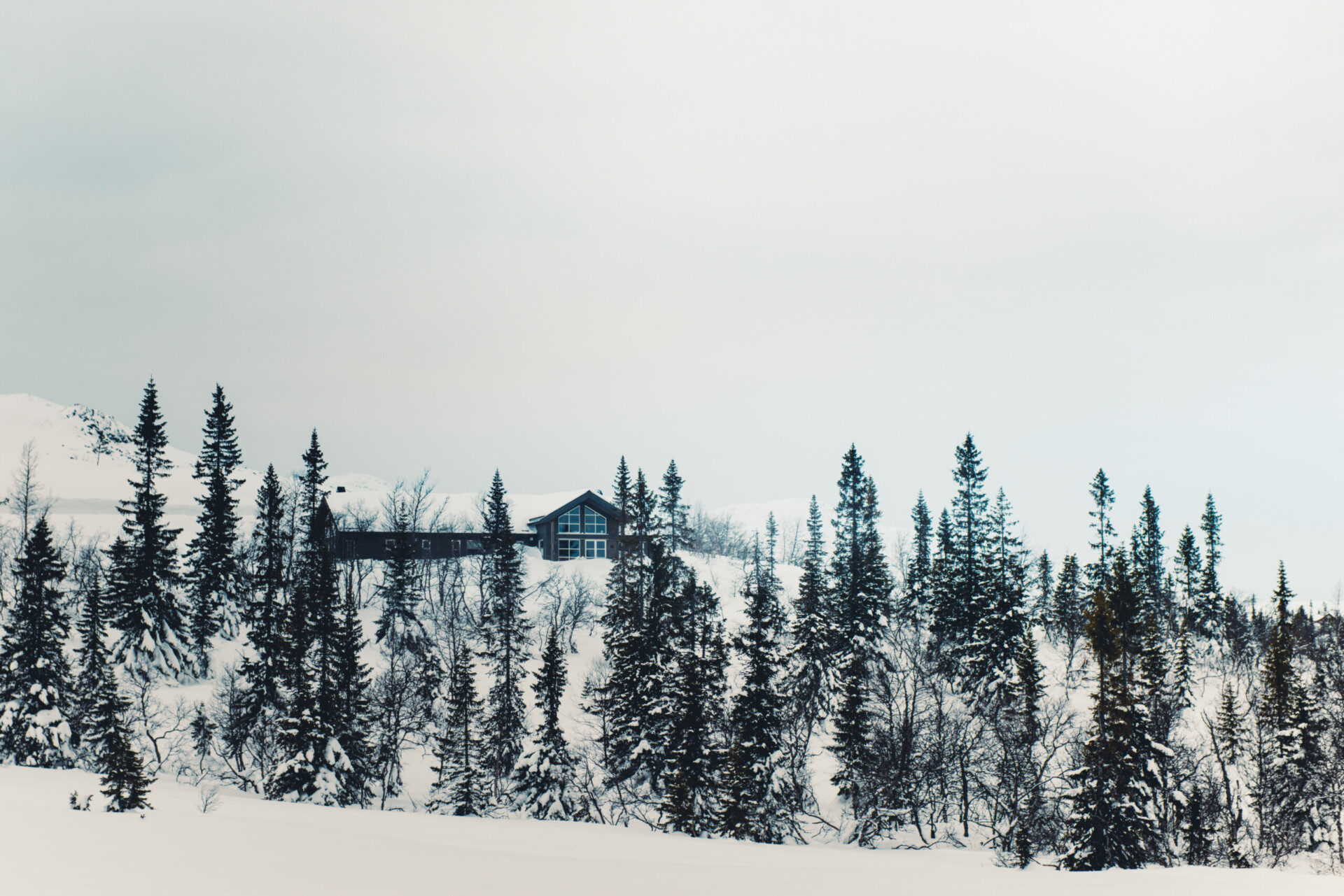 Oletko kyllästynyt saapumaan kylmään kotiin? - Adax